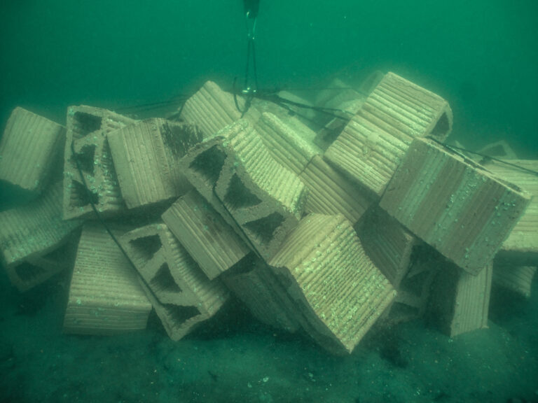 Ocean’s Clean-Up Crew – How Do Oysters Filter Water? - Oyster Heaven