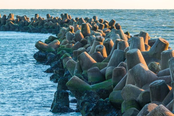Building Resilient Coasts with Living Breakwaters - Oyster Heaven